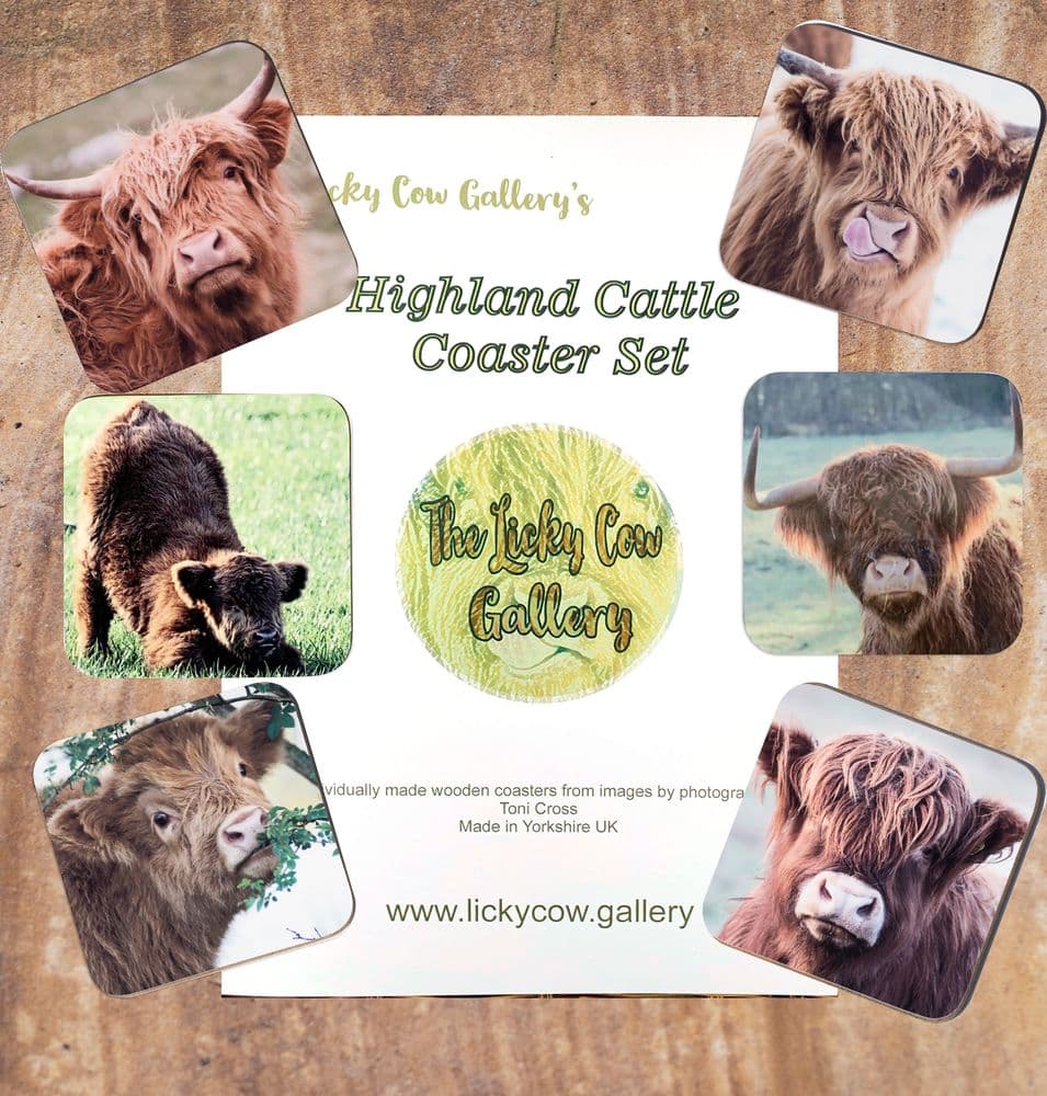 Set of Six Highland Cow Coasters