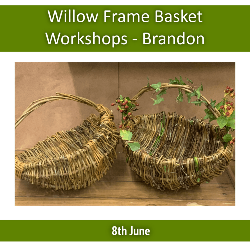 Willow Frame Basket Workshop - Brandon Choice of Dates