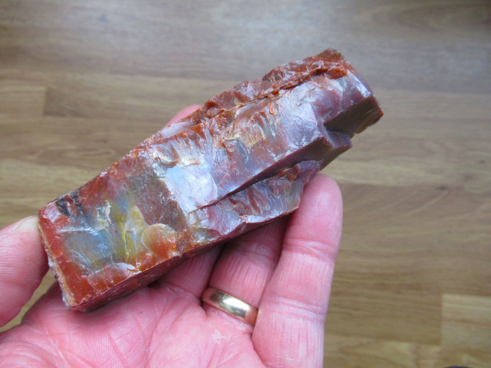 Beautiful Petrified rainbow wood from Arizona