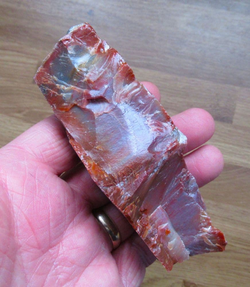 Beautiful Petrified rainbow wood from Arizona