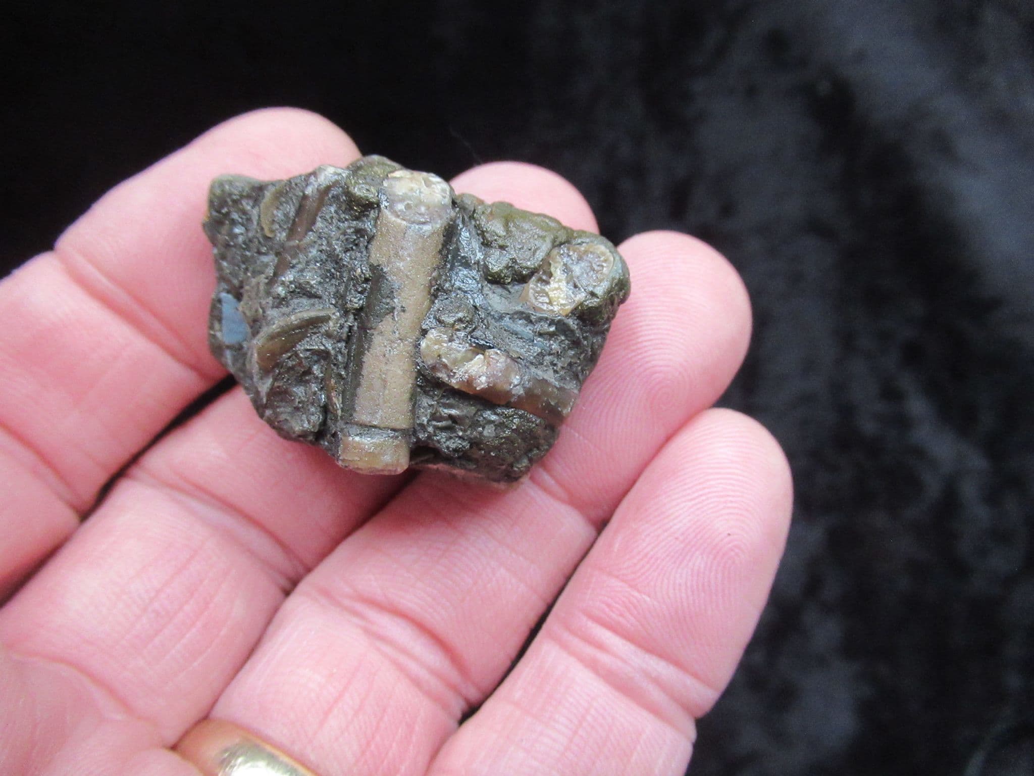 Belemnite Battlefield small example