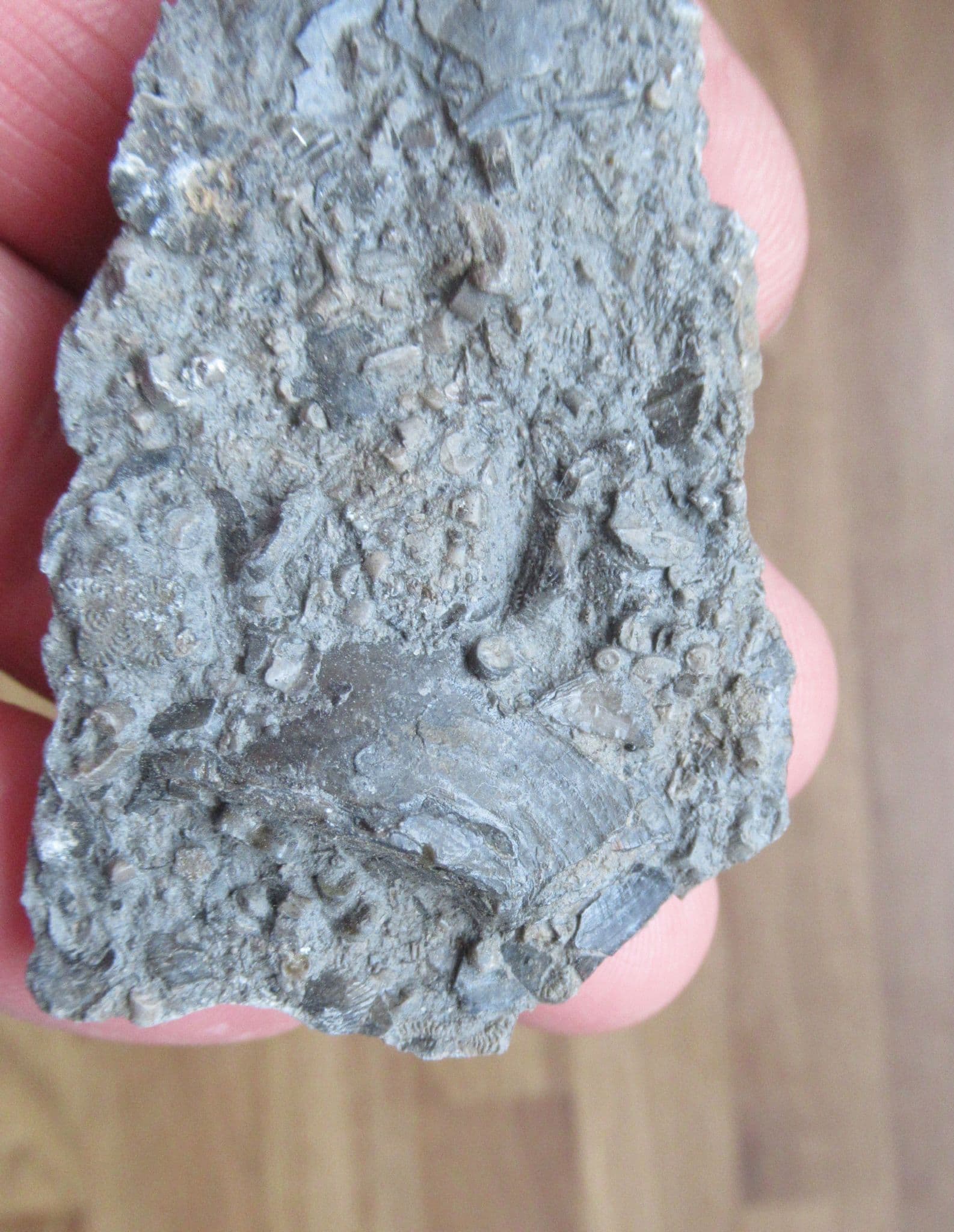 Busy sea floor deposit