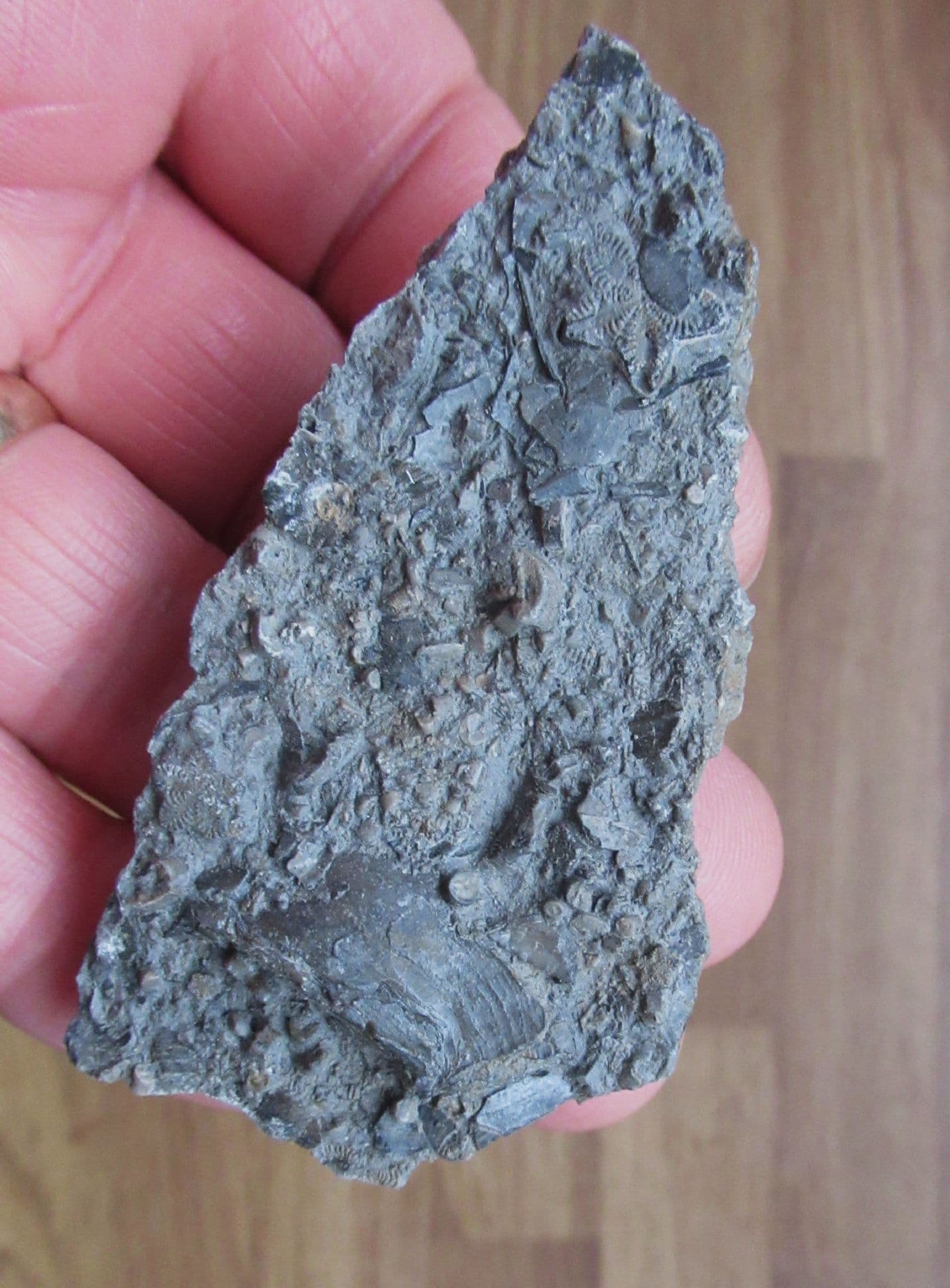 Busy sea floor deposit