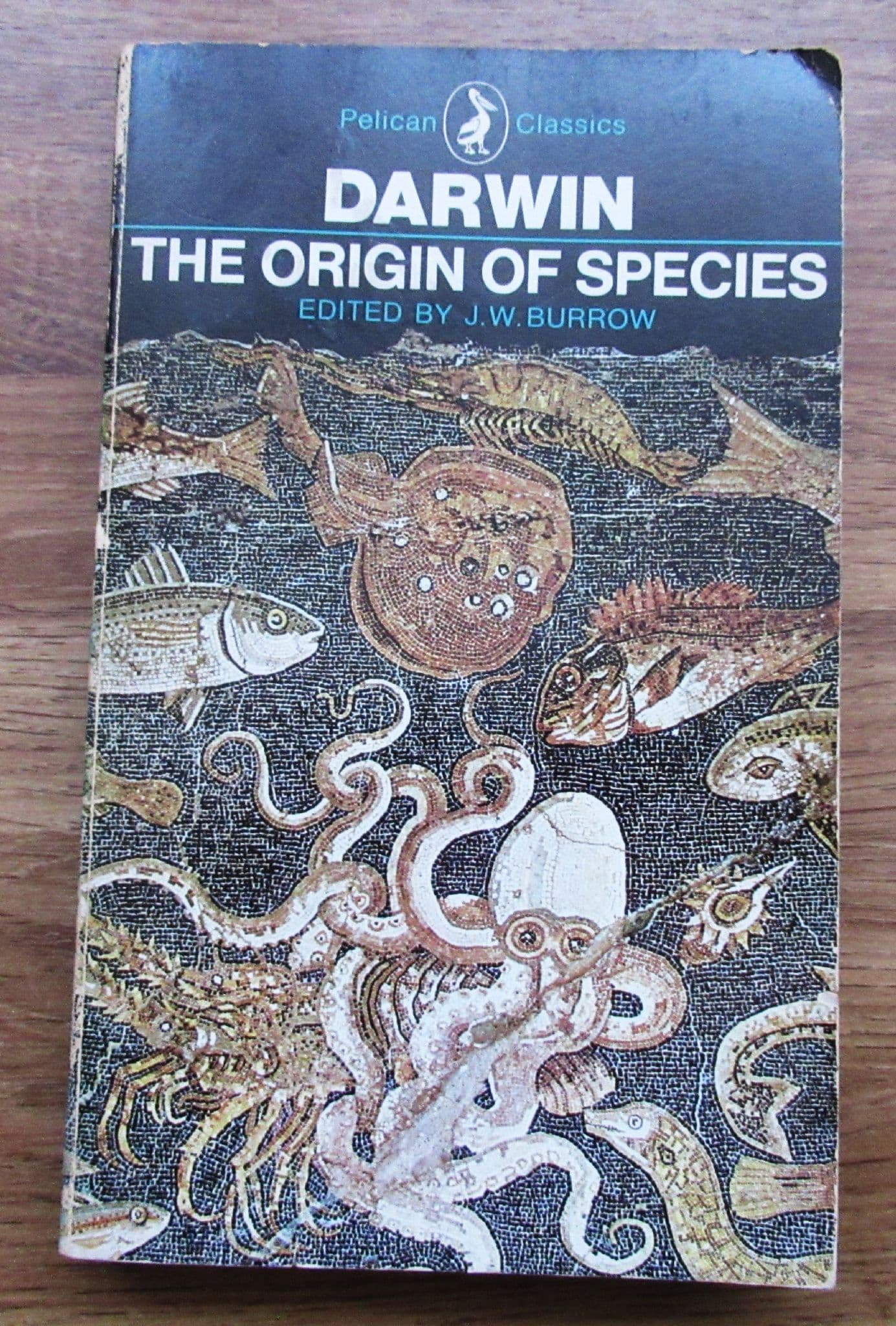 Darwin The origin of the species