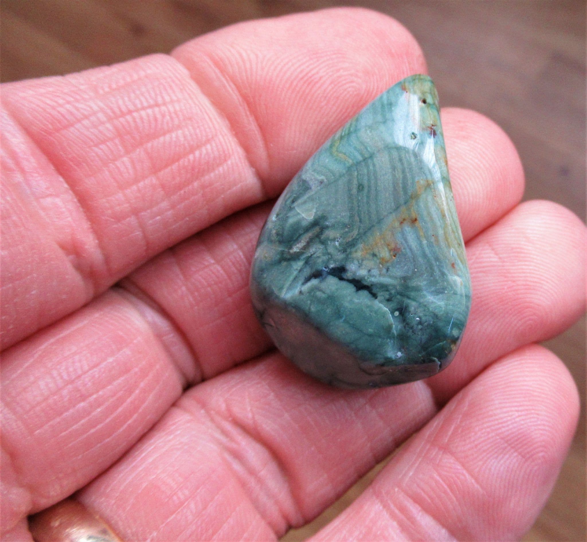 Green fossil Swampwood