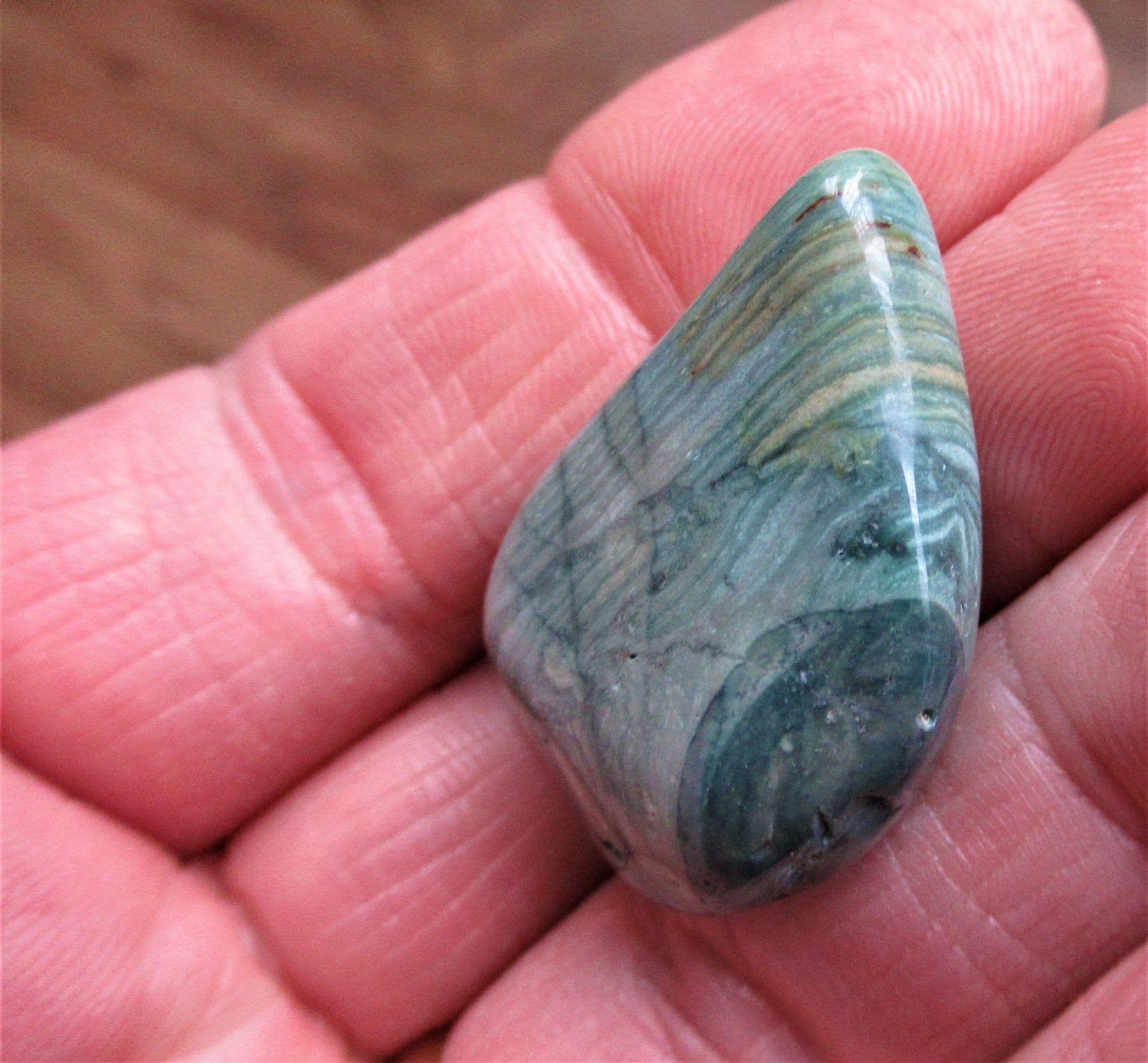 Green fossil Swampwood