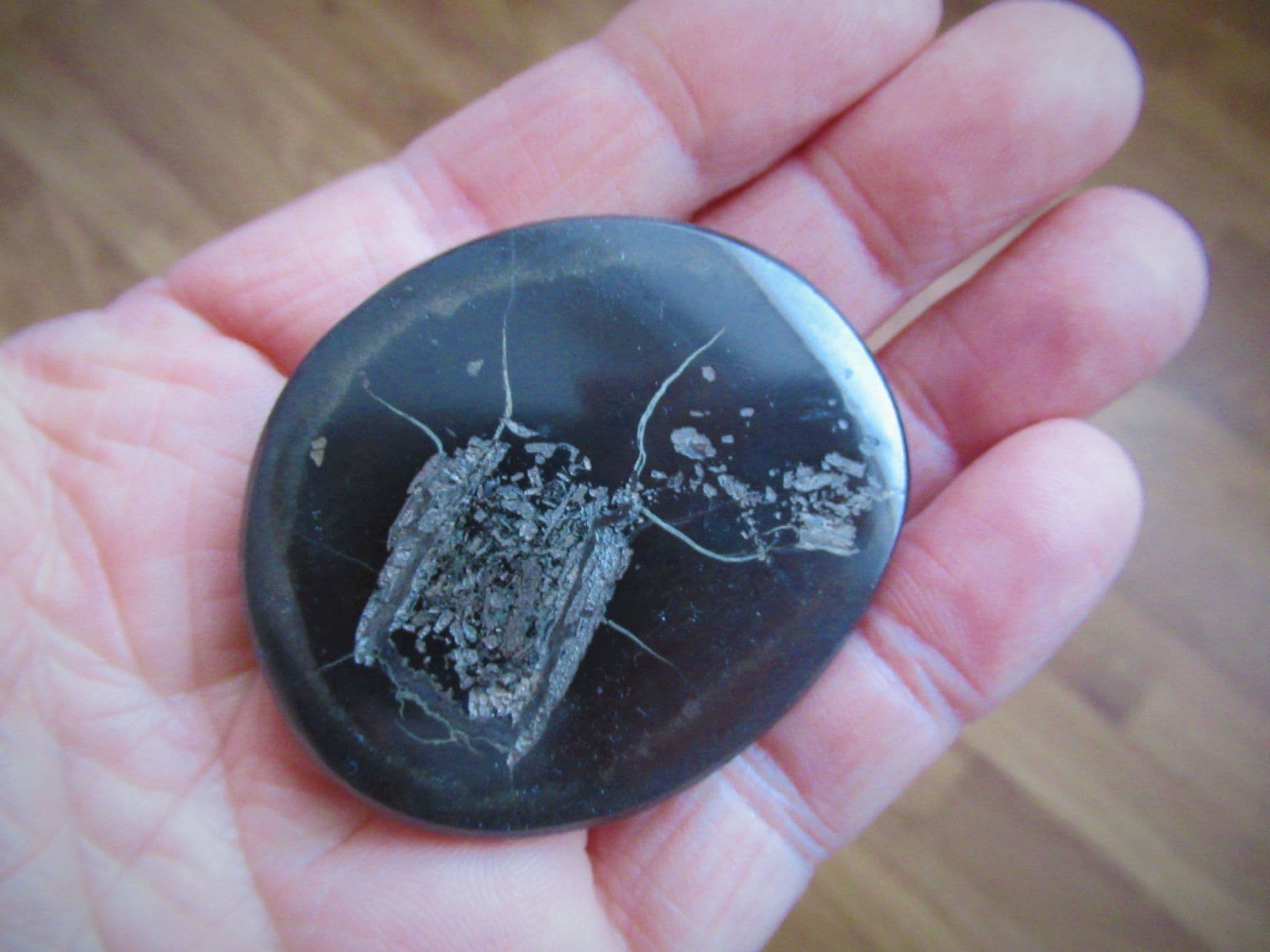 Scottish fish coprolite