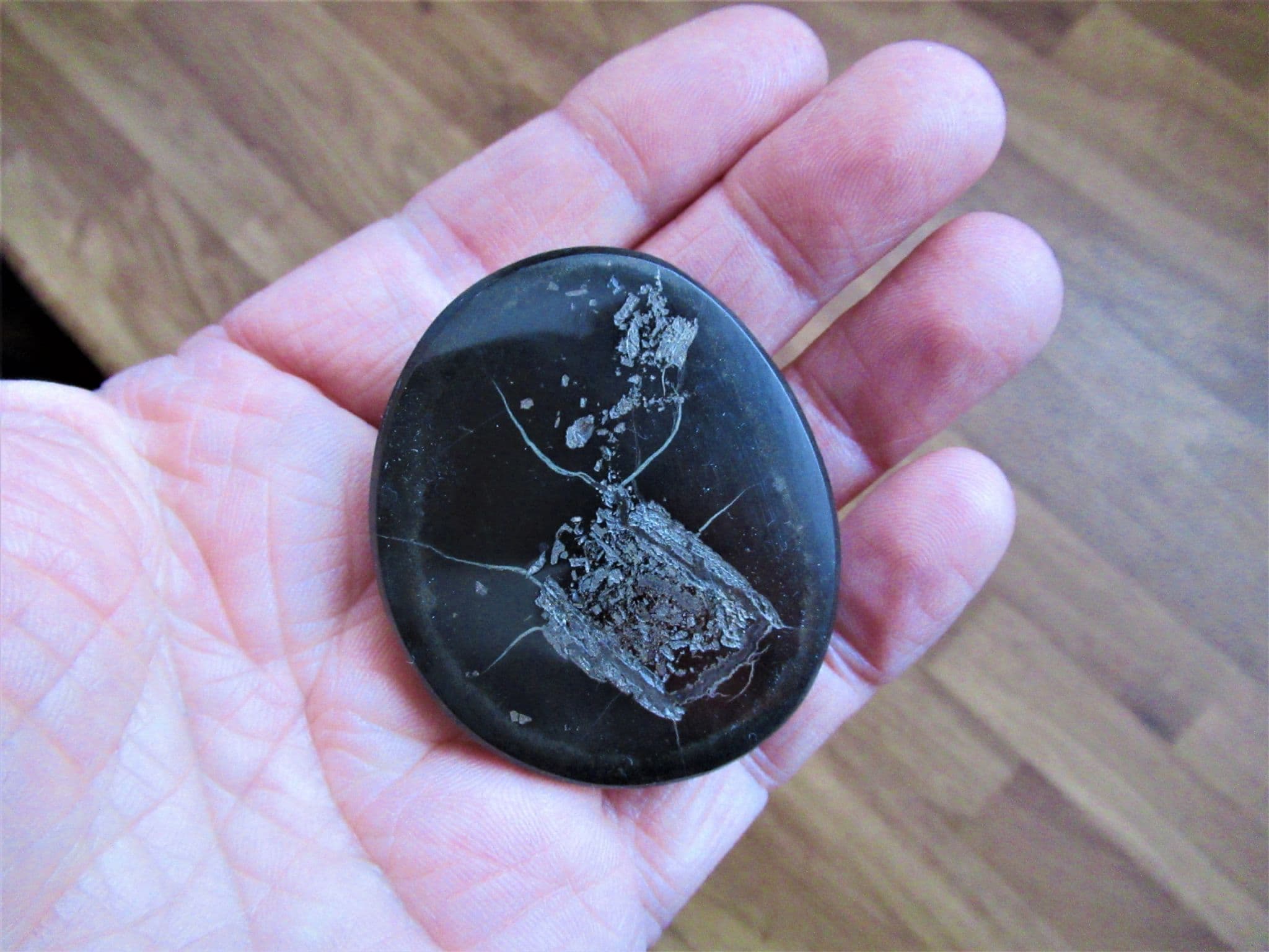 Scottish fish coprolite