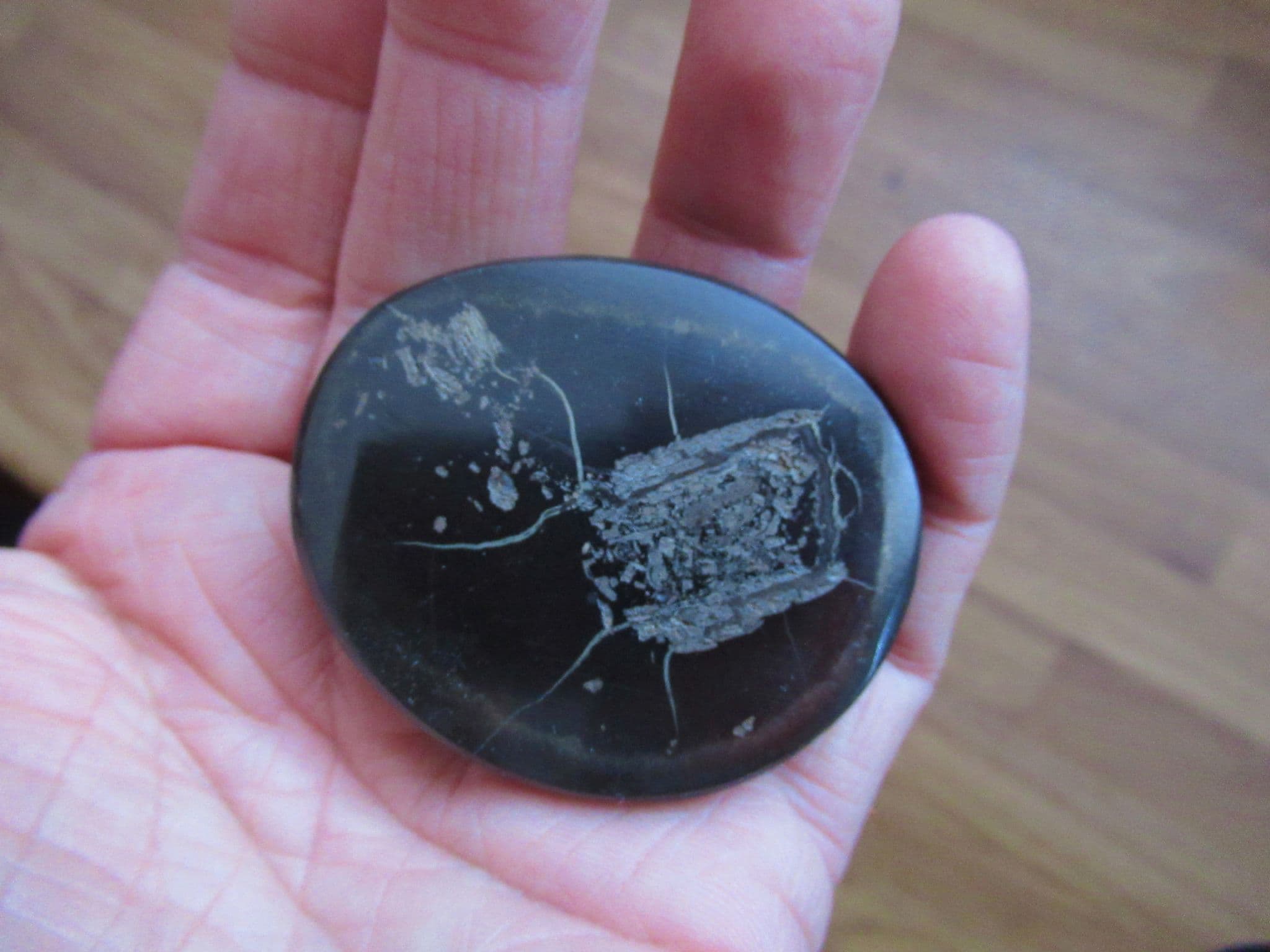 Scottish fish coprolite