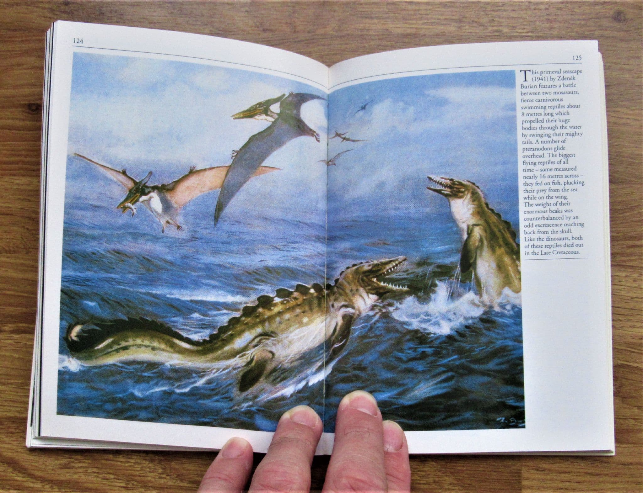 The story of Fossils