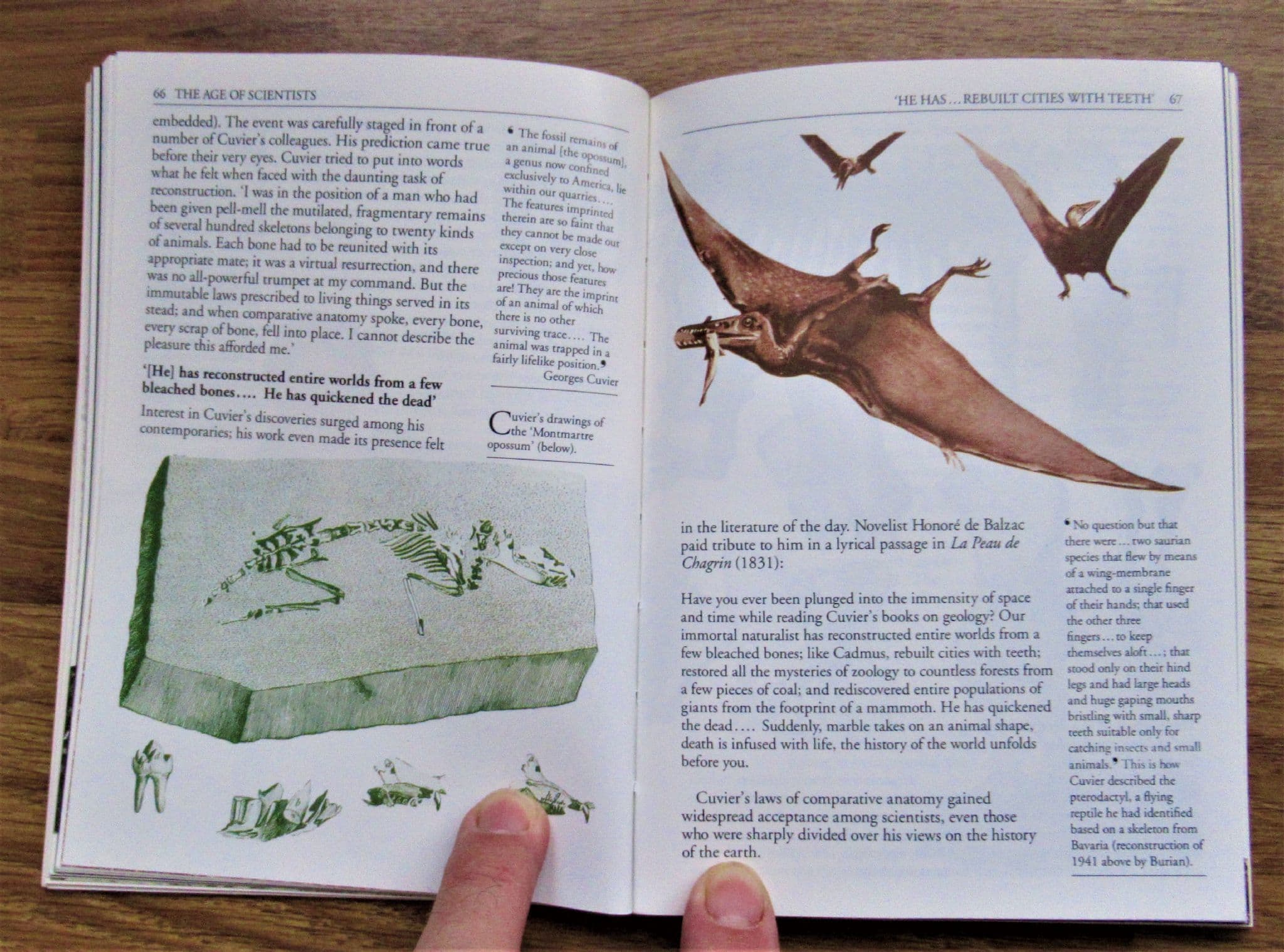 The story of Fossils