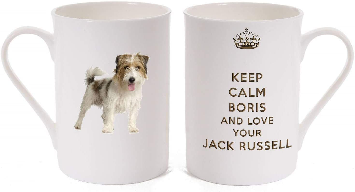 How Do You Calm A Jack Russell Terrier