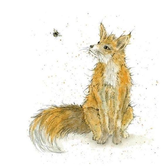 Sarah Boddy Country Collection Card