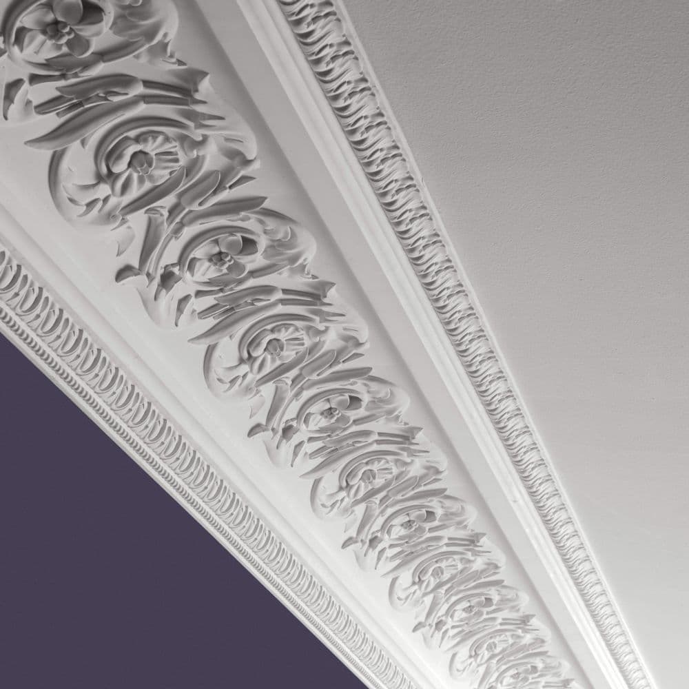 Victorian cornice with a deep cove and swirling acanthus pattern