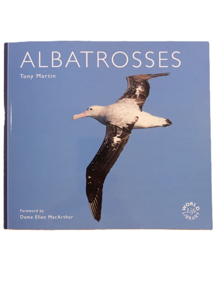 Albatrosses