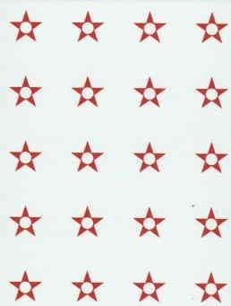 DD07 Oval shield 5 point star 20