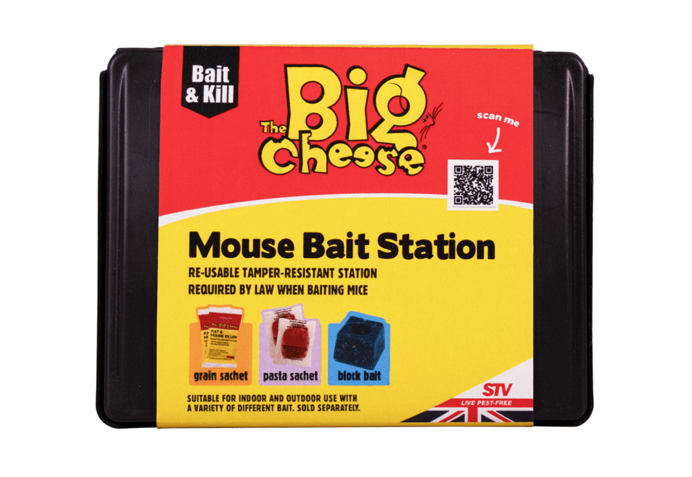 The Big Cheese Mouse Bait Station