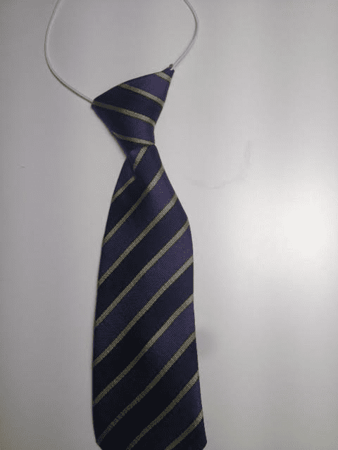 Stanley Elastic Tie