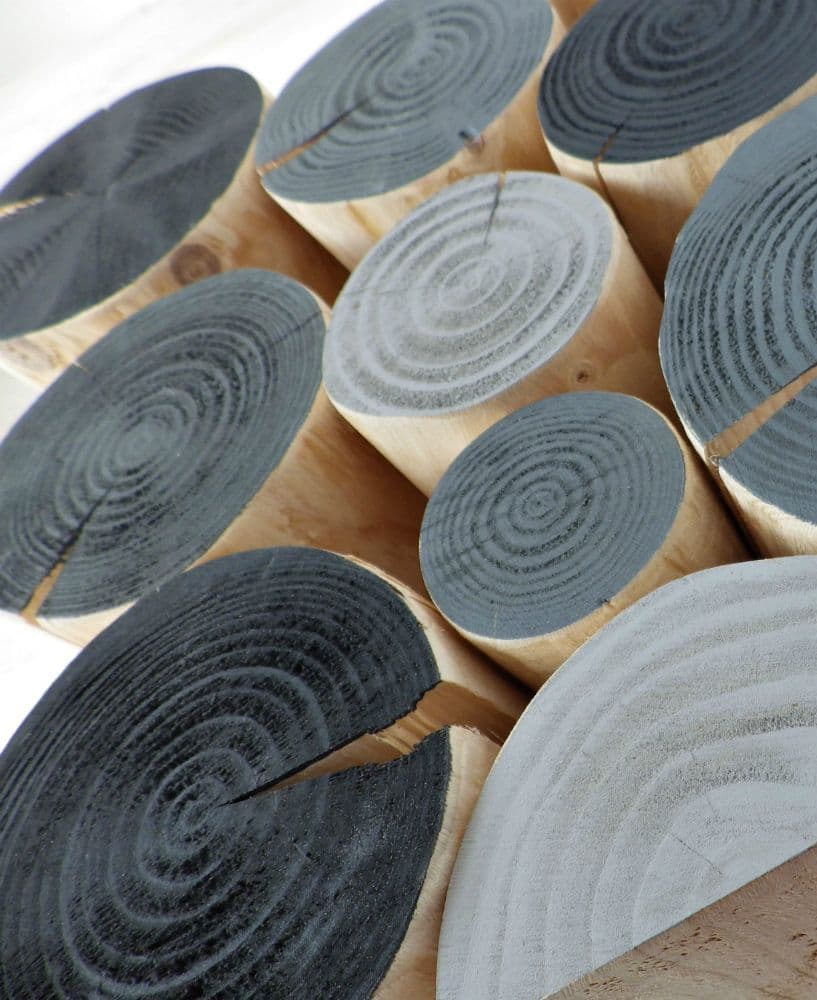 Decorative Logs - REVOLUTION Colour Mix