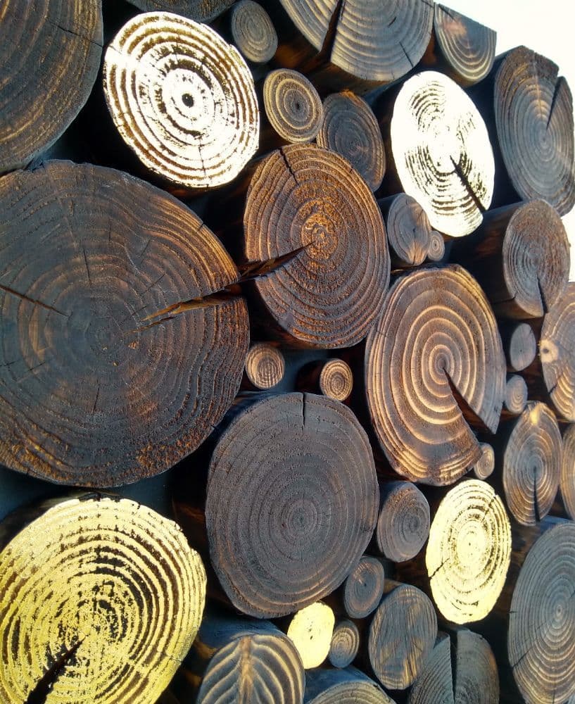 Log Wall Art - RECTANGULAR MOSAIC in BLACKENED & GOLD LEAF