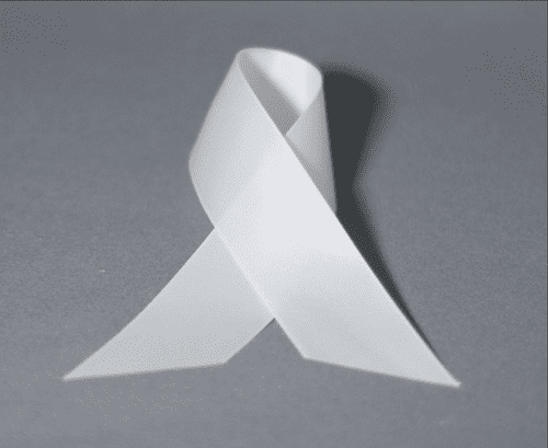 Pleated & Flat Ribbon