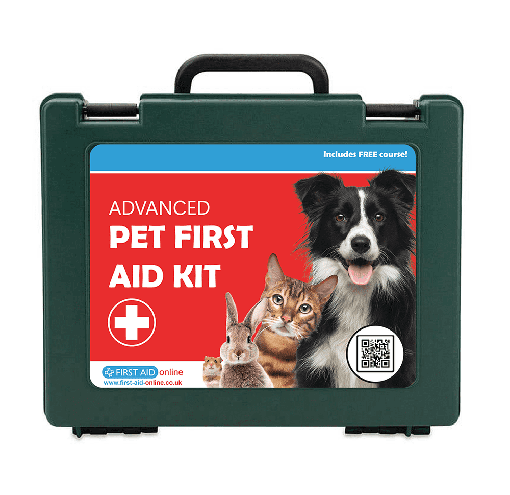 Pet First Aid Plus Instructor Kit