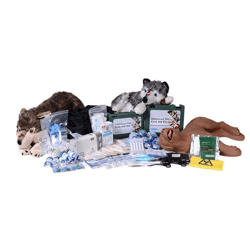 Pet First Aid Plus Recommended Instructor Kit