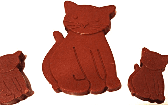 Chocolate Cat & Kittens