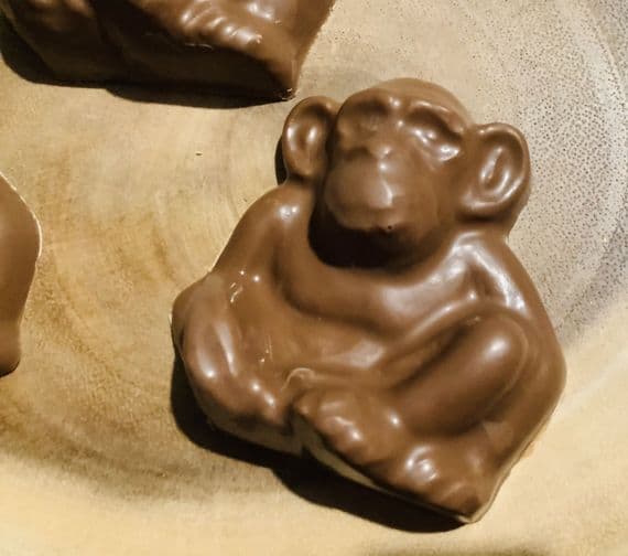 Chocolate Chimpanzee