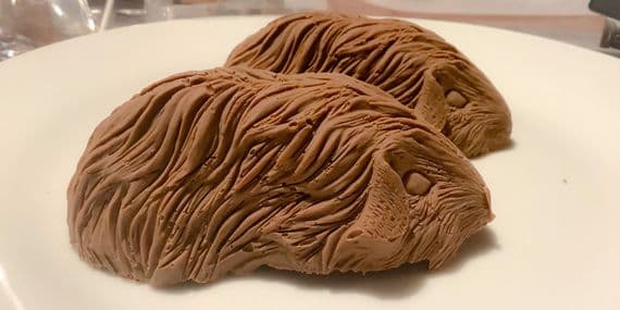 Novelty Chocolate Guinea pig