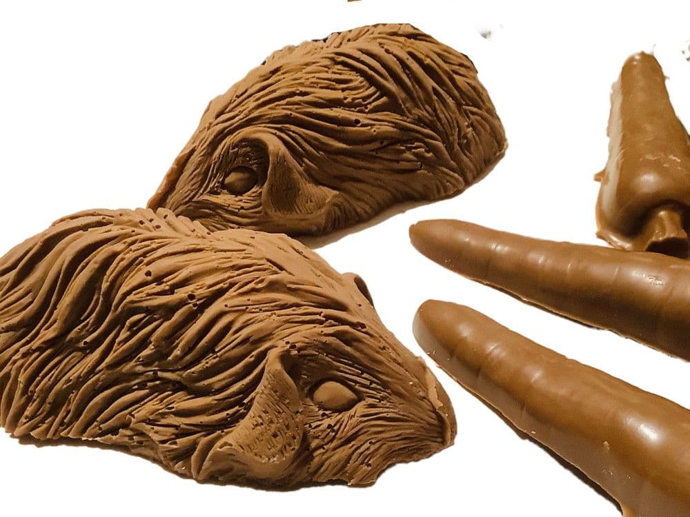Novelty Chocolate Guinea pig