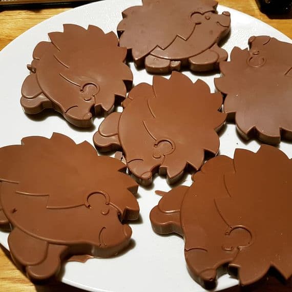 Chocolate Hedgehog