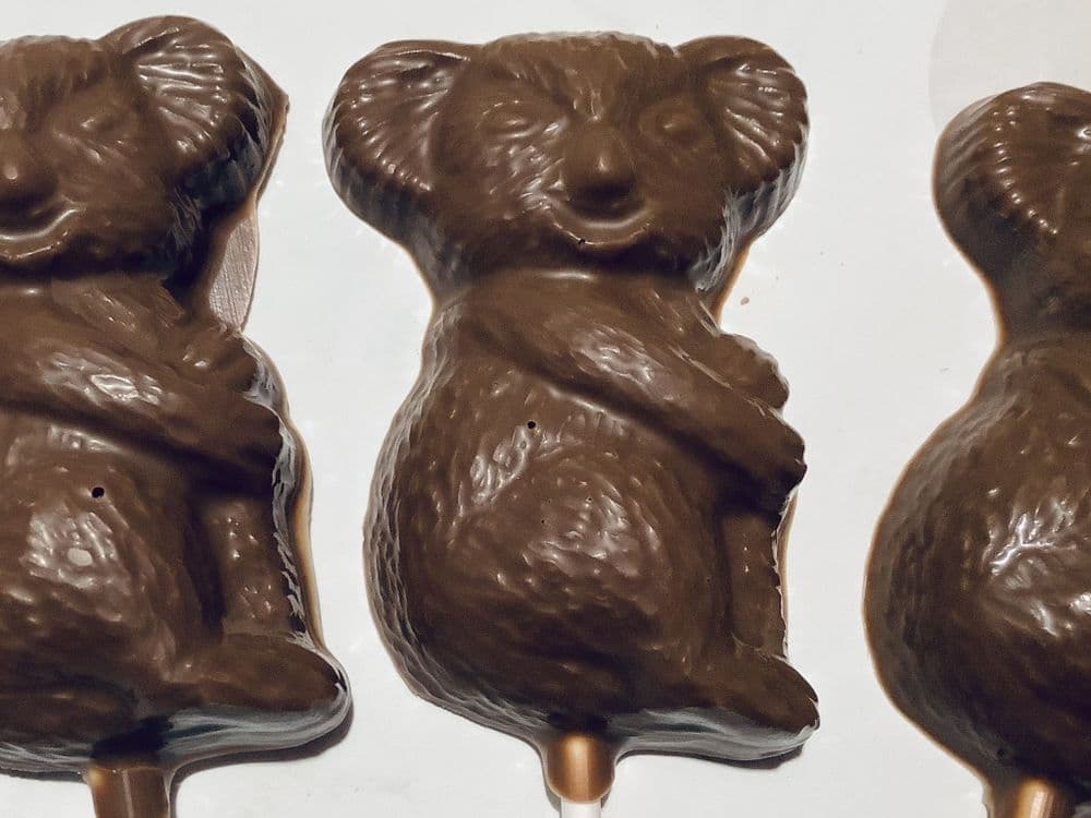 Chocolate Koala