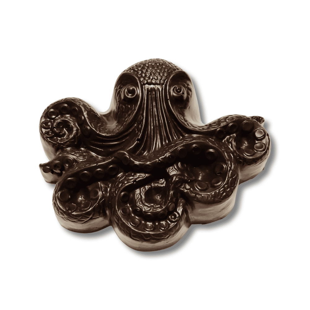 Chocolate Octopus