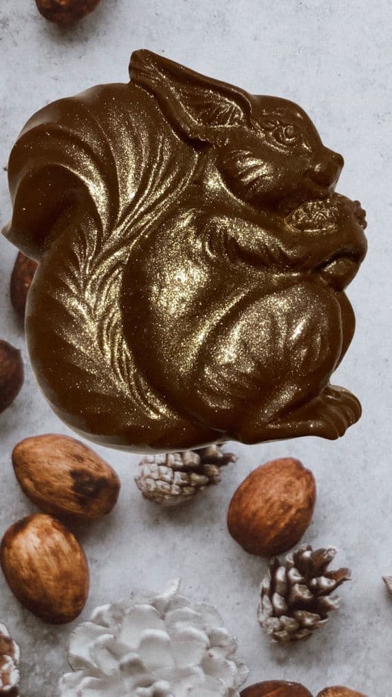 Chocolate Squirrel