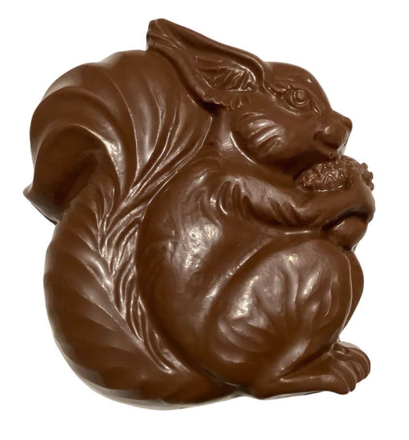 Chocolate Squirrel