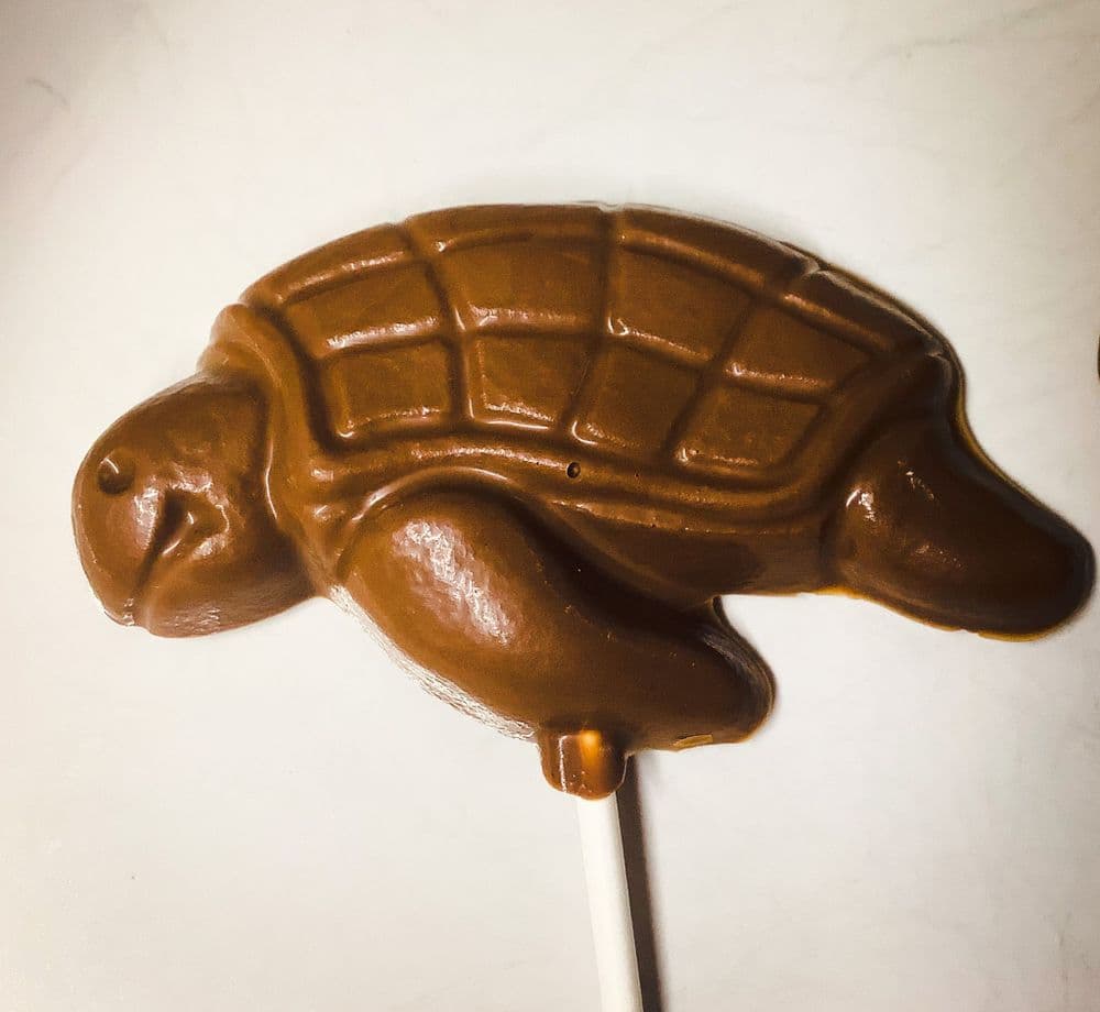 Chocolate Turtle Lolly