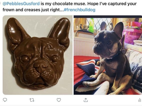 French Bulldog Chocolate