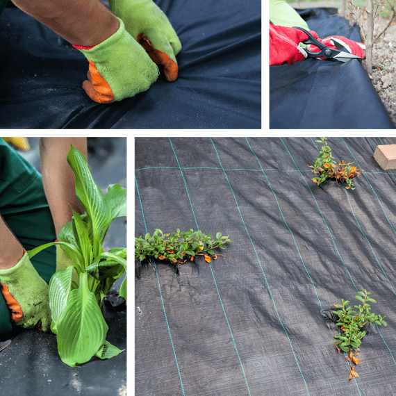 High-Quality Weed Protection Fabric | Durable and UV-Resistant Garden ...