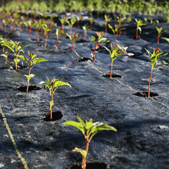 High-Quality Weed Protection Fabric | Durable and UV-Resistant Garden ...
