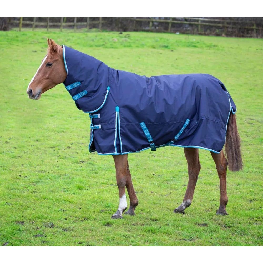 Bridleway Ontario Light Combo Turnout Rug - Navy