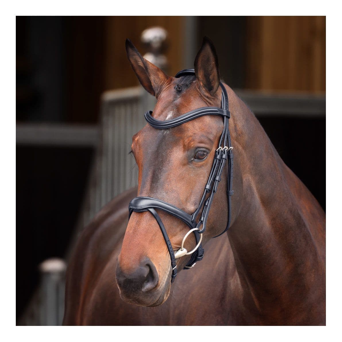 LUSSO Elite Flash Bridle