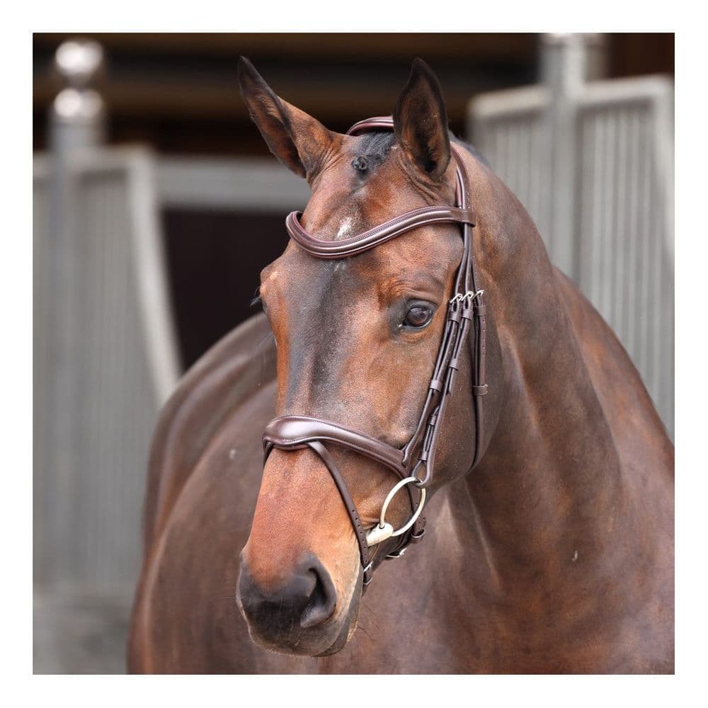 LUSSO Elite Flash Bridle