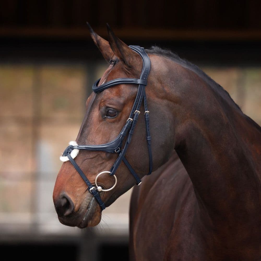 LUSSO Elite Grackle Bridle