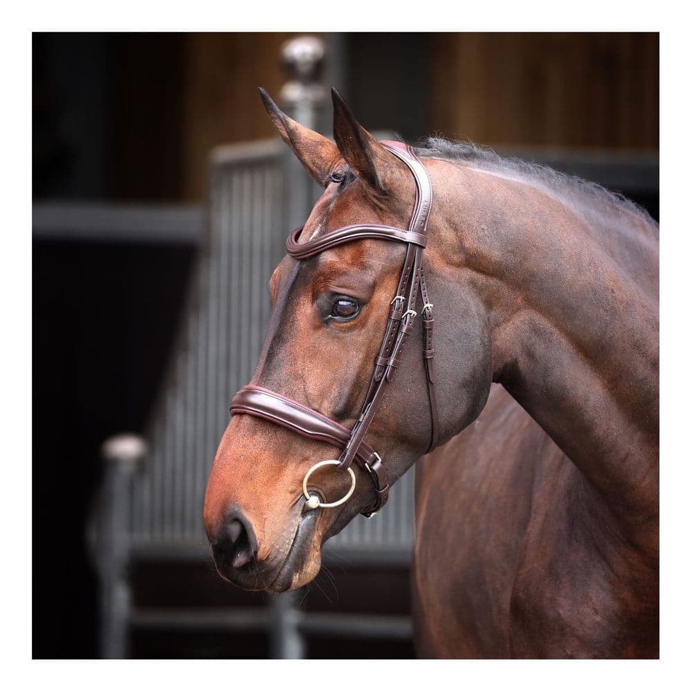 LUSSO Elite Padded Cavesson Bridle