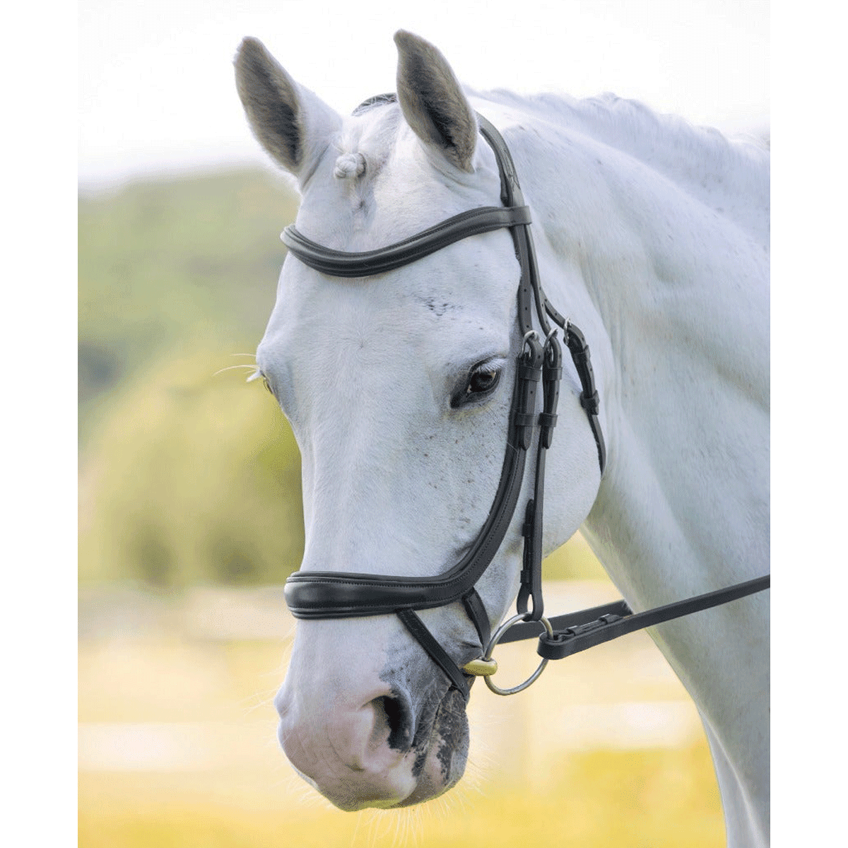 RAPIDA Ergonomic Curved Flash Bridle