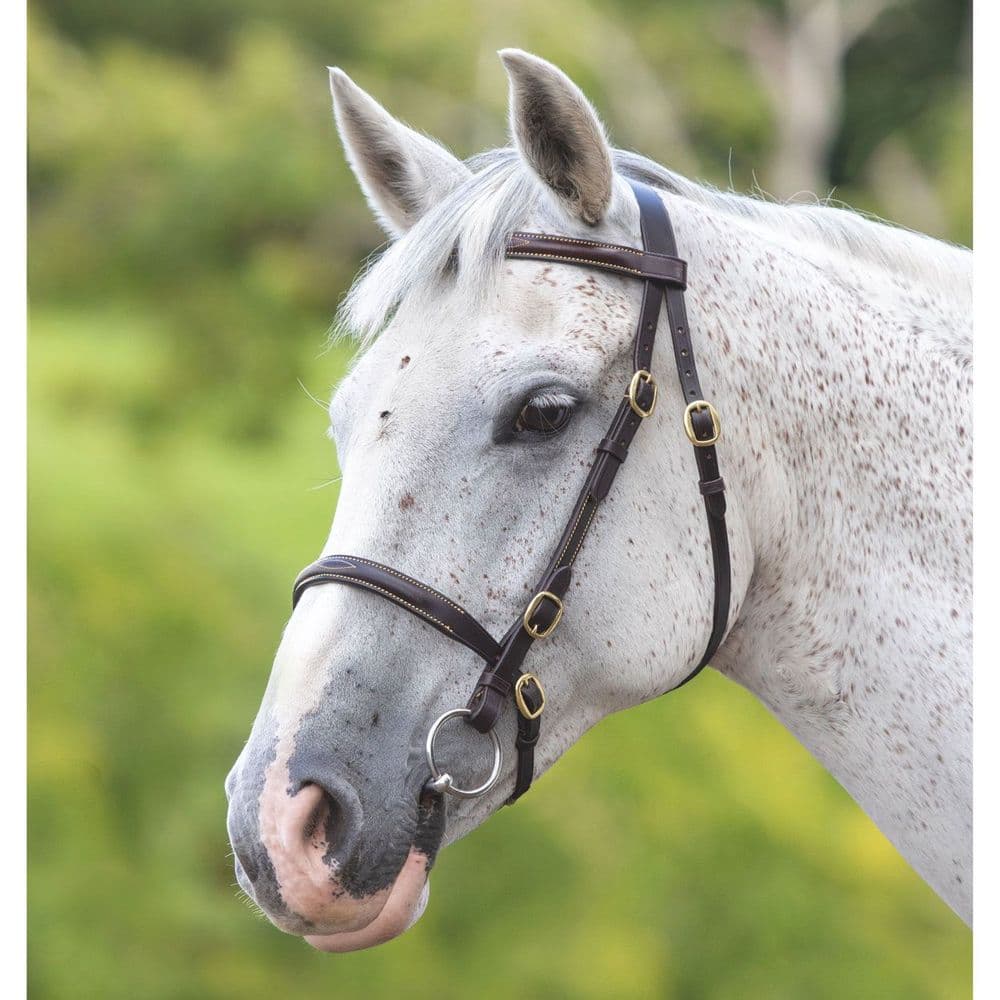 Shires GARA Fancy Stitched Inhand Bridle