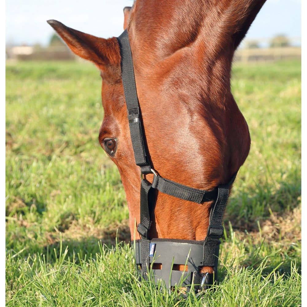 Shires Grazing Muzzle