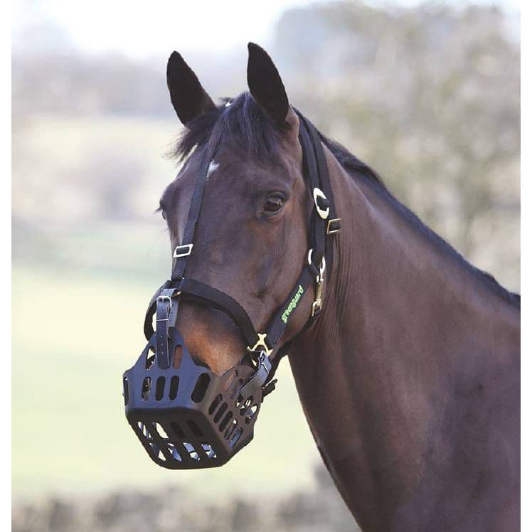 Shires Greenguard Muzzle - Spare Straps