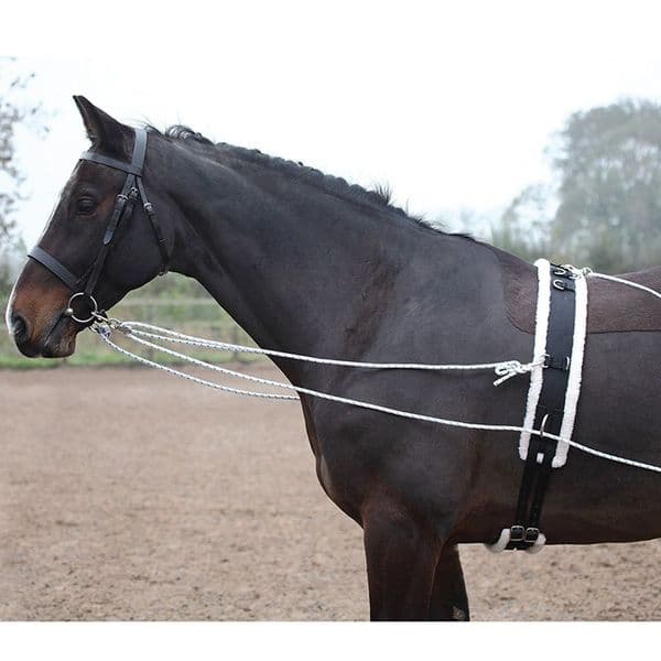 Shires Lunging Aid